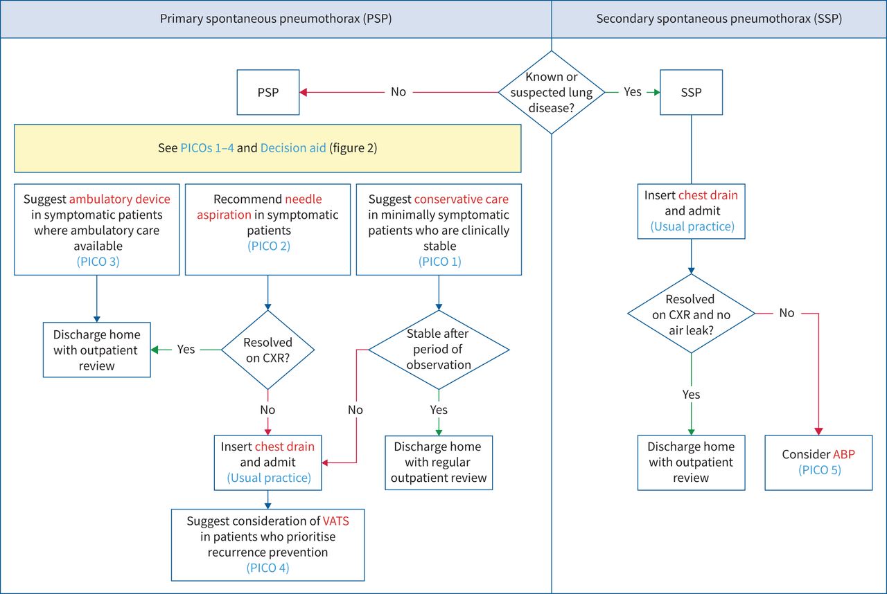 Pneumothorax - AZ Critical Care Hub